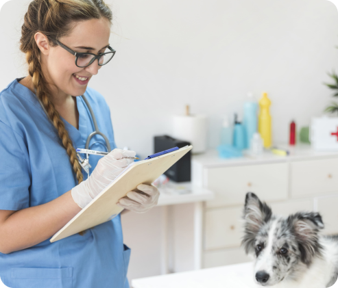 SAPACARE - SKS VET - Login